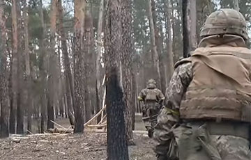 Video Fact: AFU Fighters Entering Outskirts Of Kreminna Through Woods ...